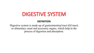 DIGESTIVE SYSTEM 120739 pm_0174e3 125241 pm_4b53bf.pptx | Digestive ...
