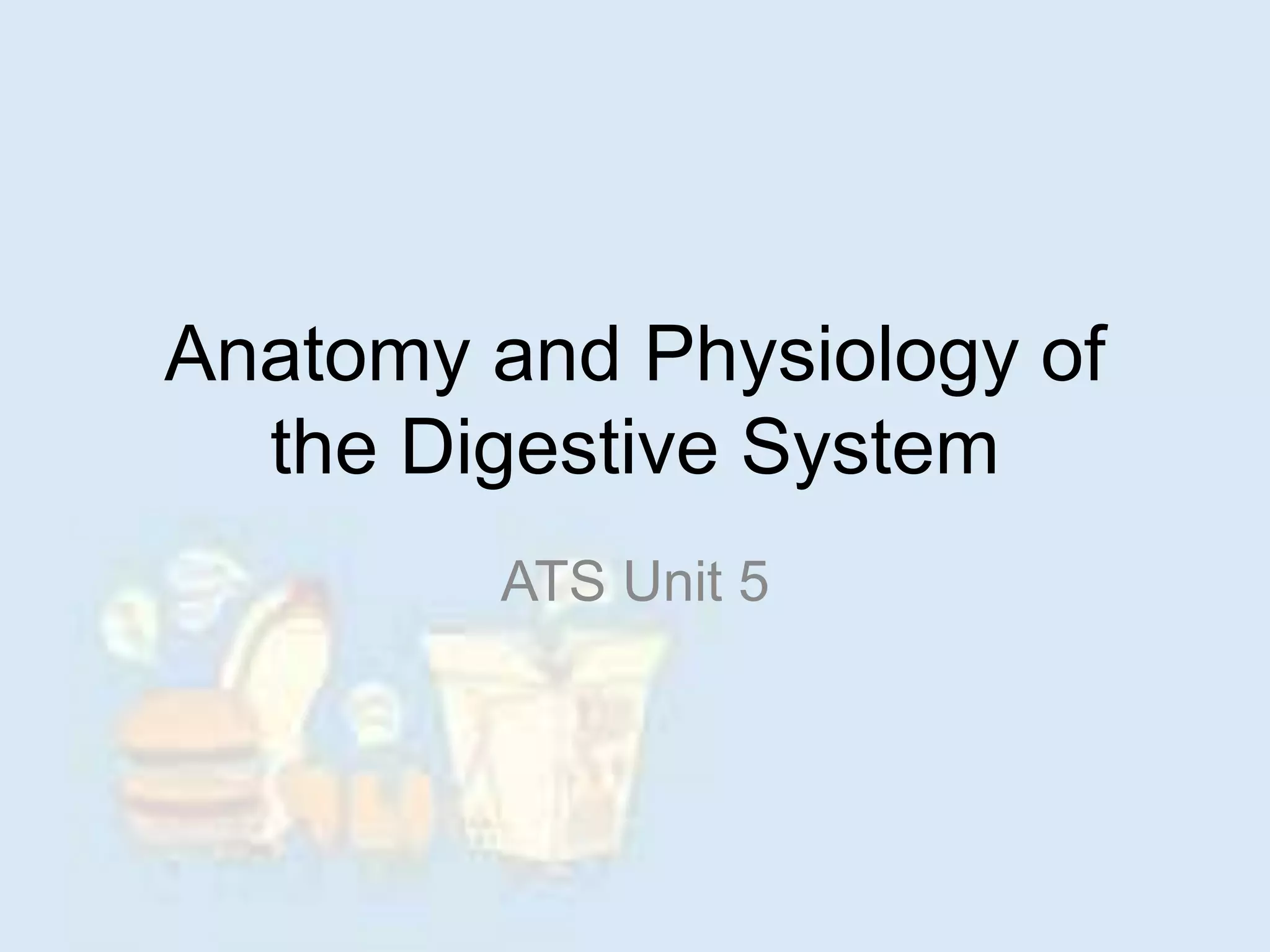 Digestive system 1 ehs unit 6 | PPTX