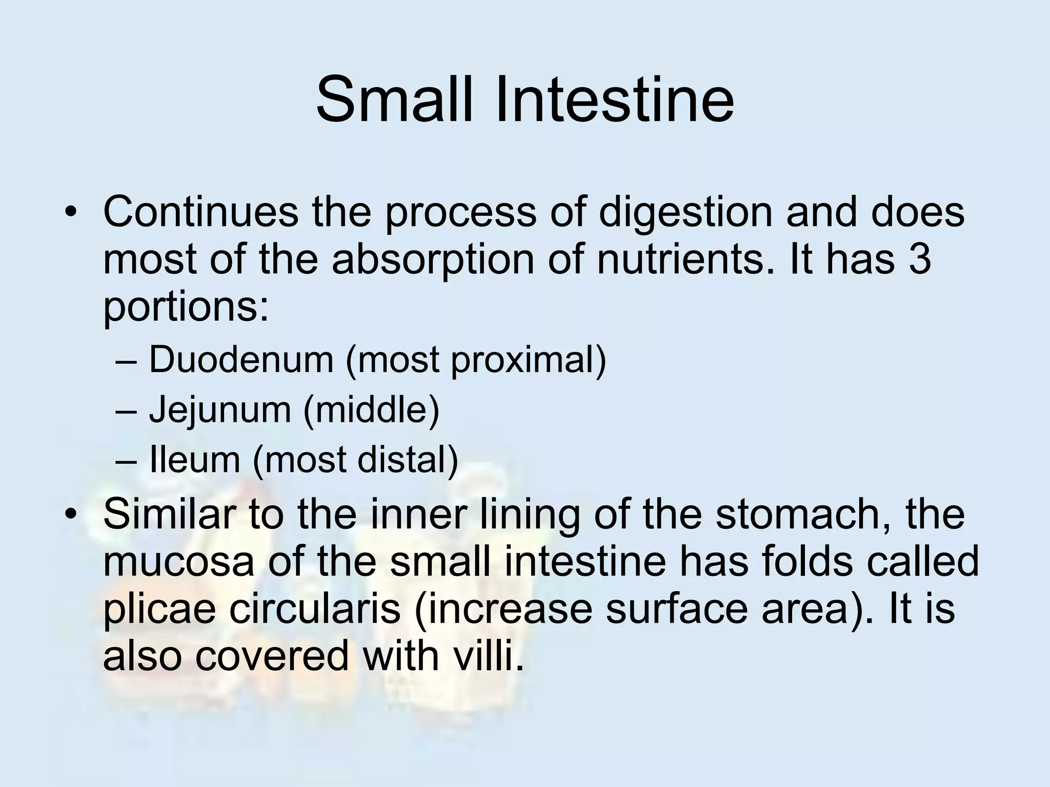 Digestive system 1 ehs unit 6 | PPTX