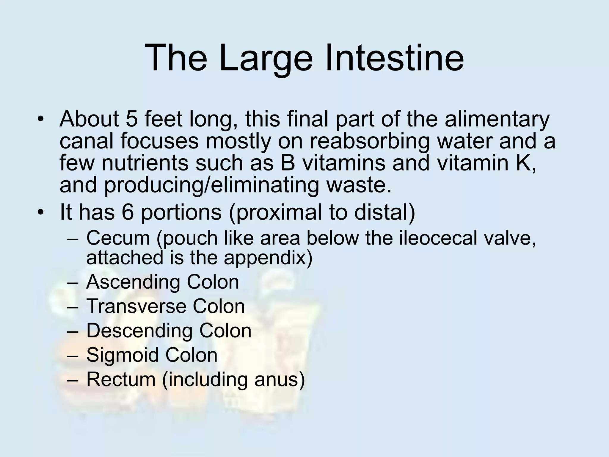 Digestive system 1 ehs unit 6 | PPTX