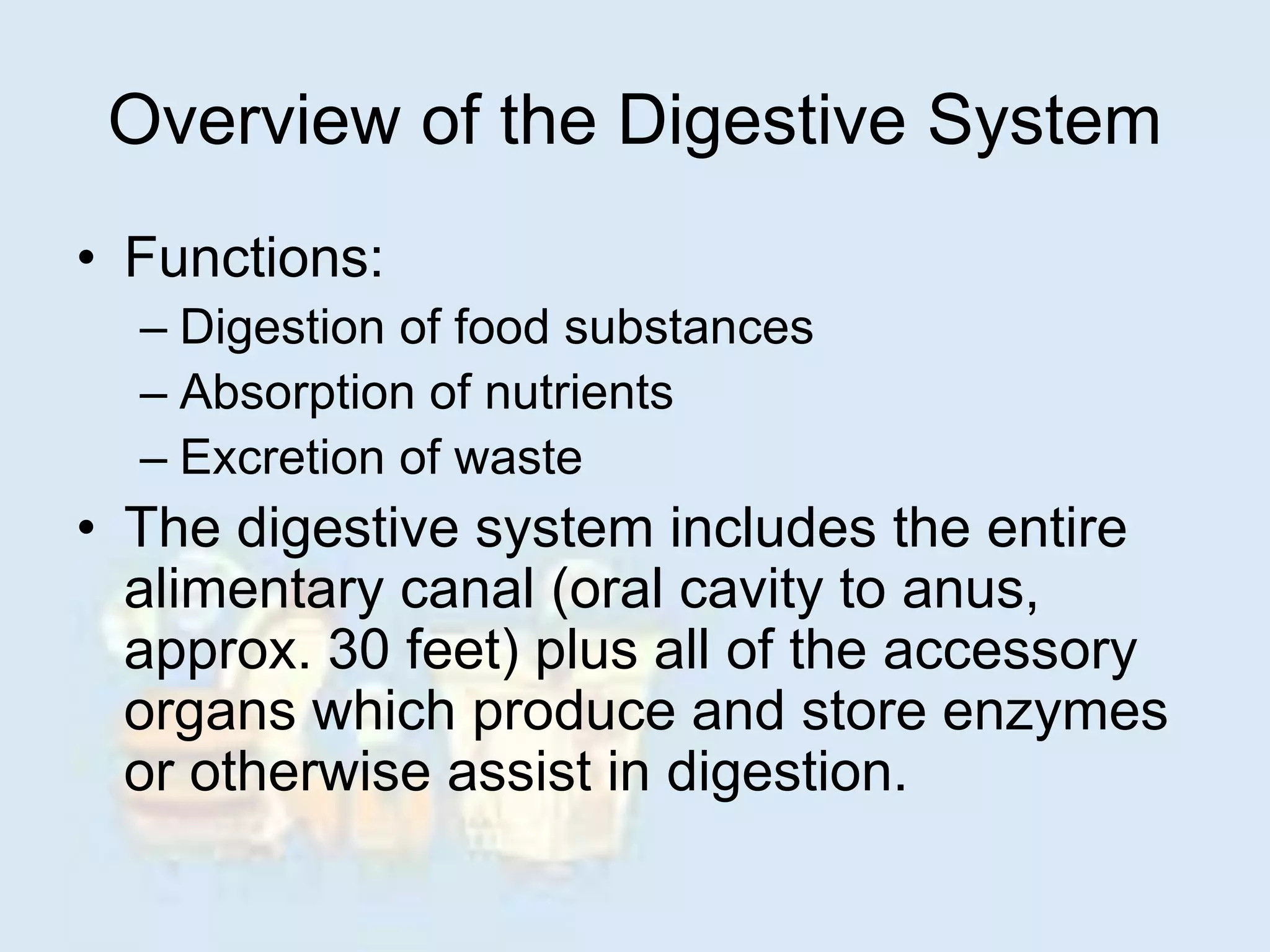 Digestive system 1 ehs unit 6 | PPTX