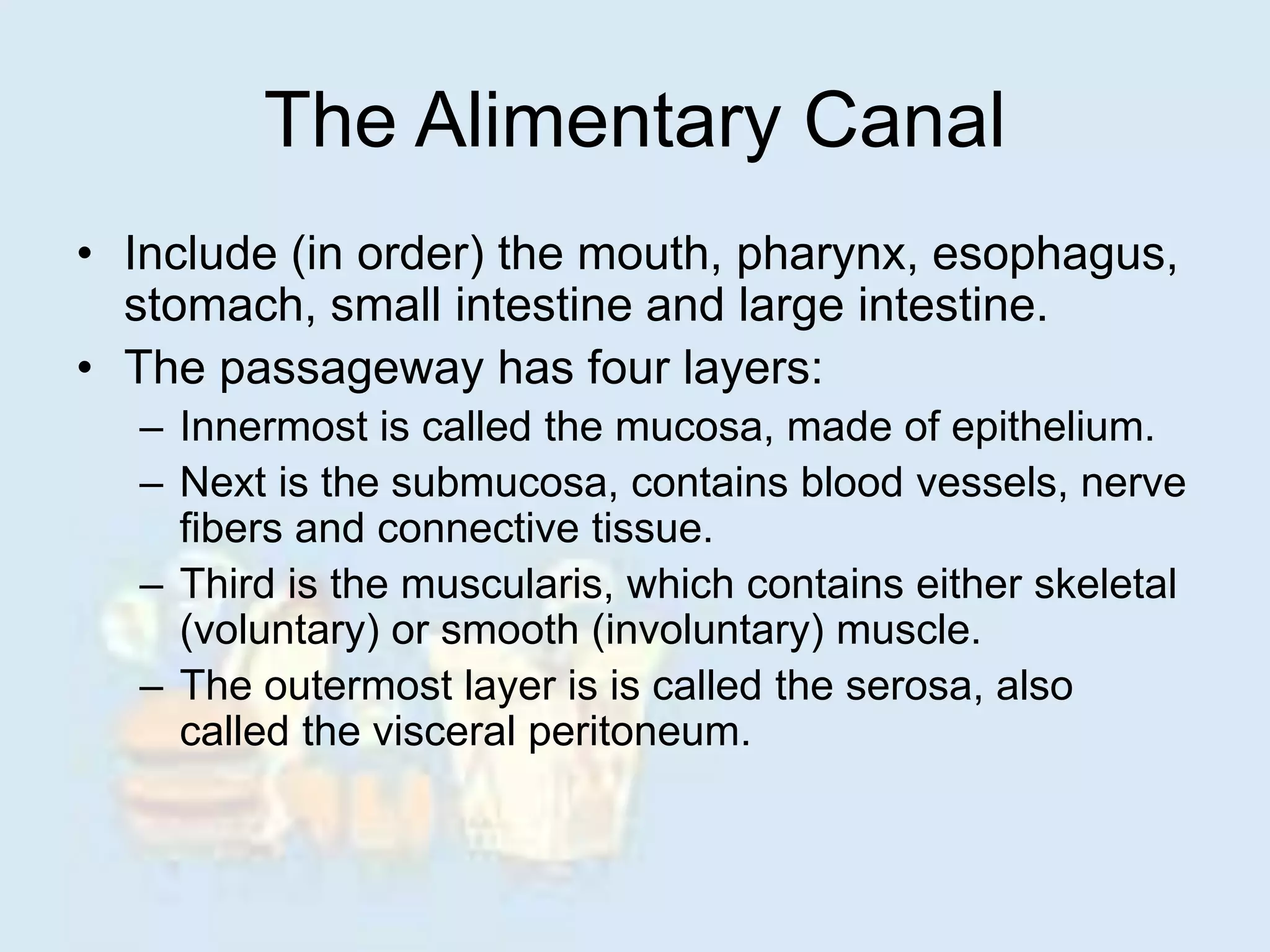 Digestive system 1 ehs unit 6 | PPTX
