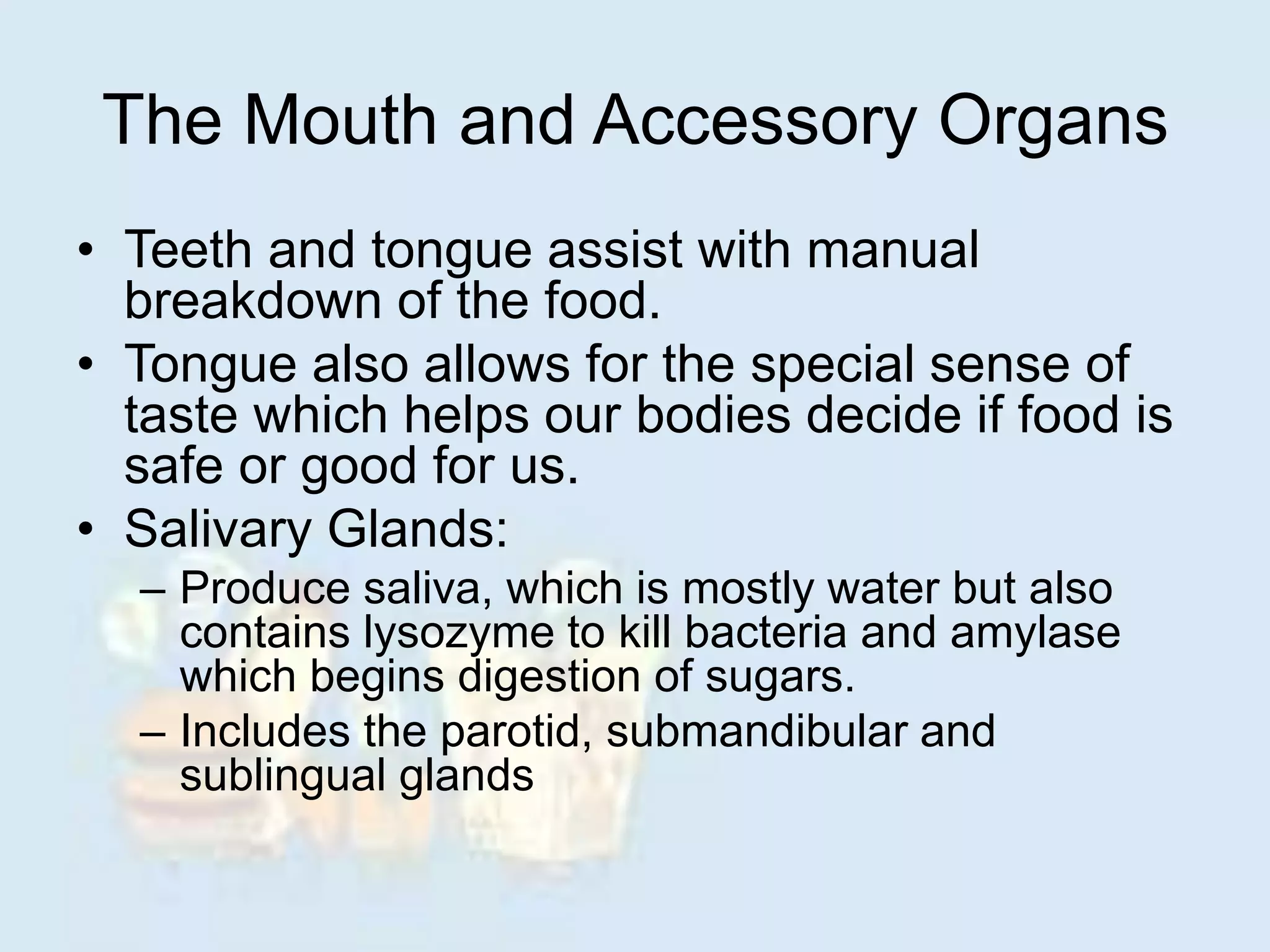 Digestive system 1 ehs unit 6 | PPTX