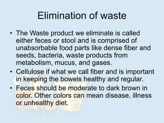 Digestive system 1 ehs unit 6 | PPTX