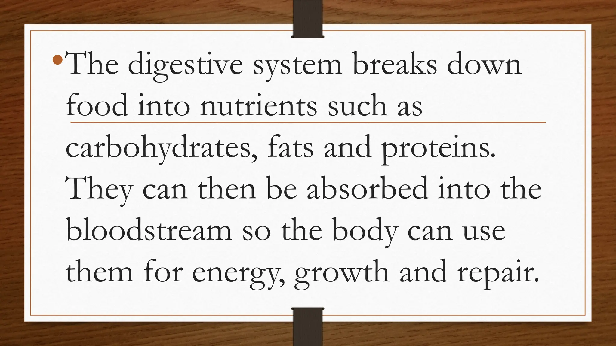 Digestive System 1st topic grade 8 .pptx