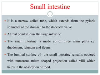 DIGESTIVE SYSTEM | PPTX