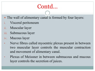 DIGESTIVE SYSTEM | PPTX