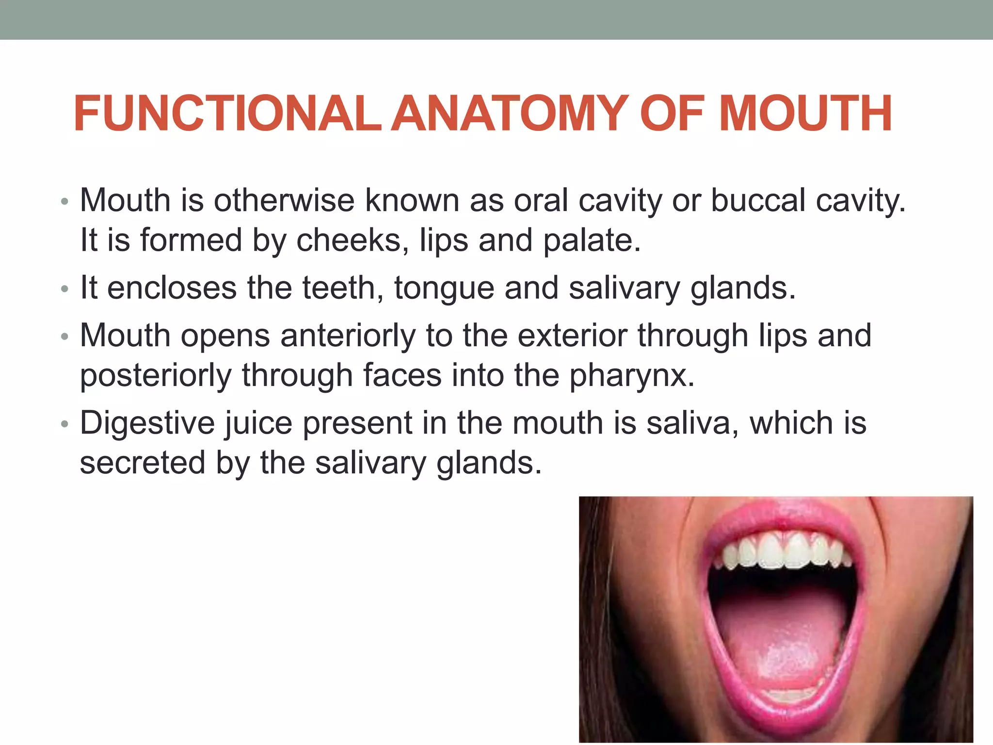 DIGESTIVE SYSTEM | PPTX