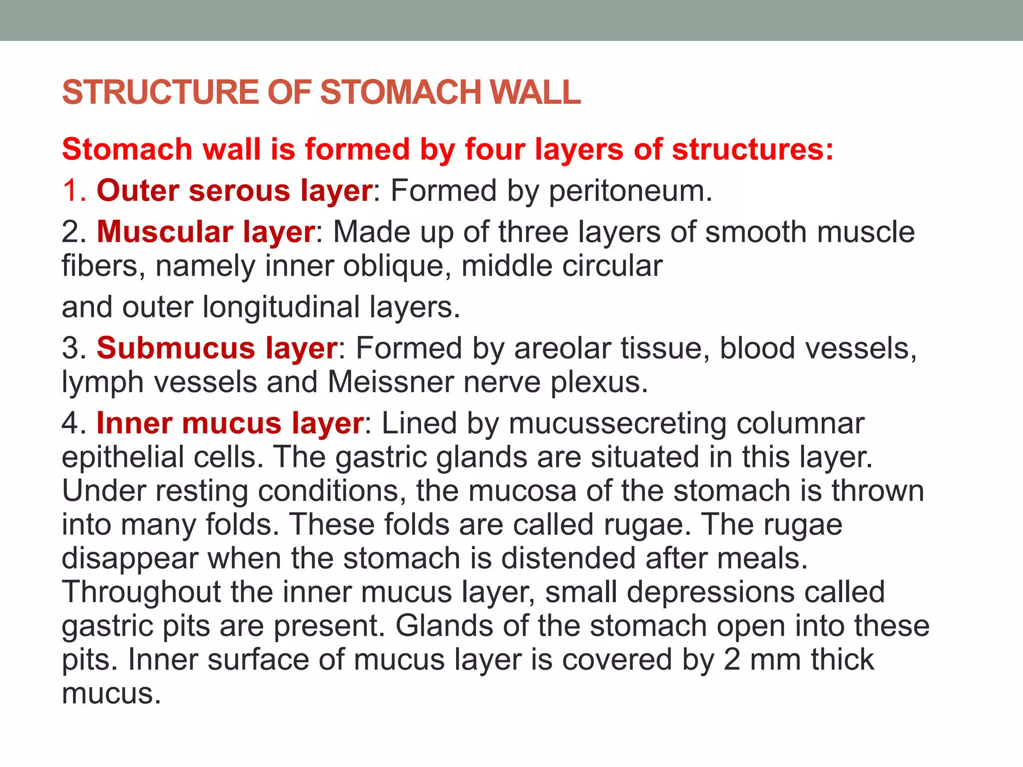 DIGESTIVE SYSTEM | PPTX