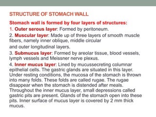 DIGESTIVE SYSTEM | PPTX