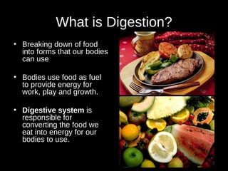 Digestive System22 | PPT
