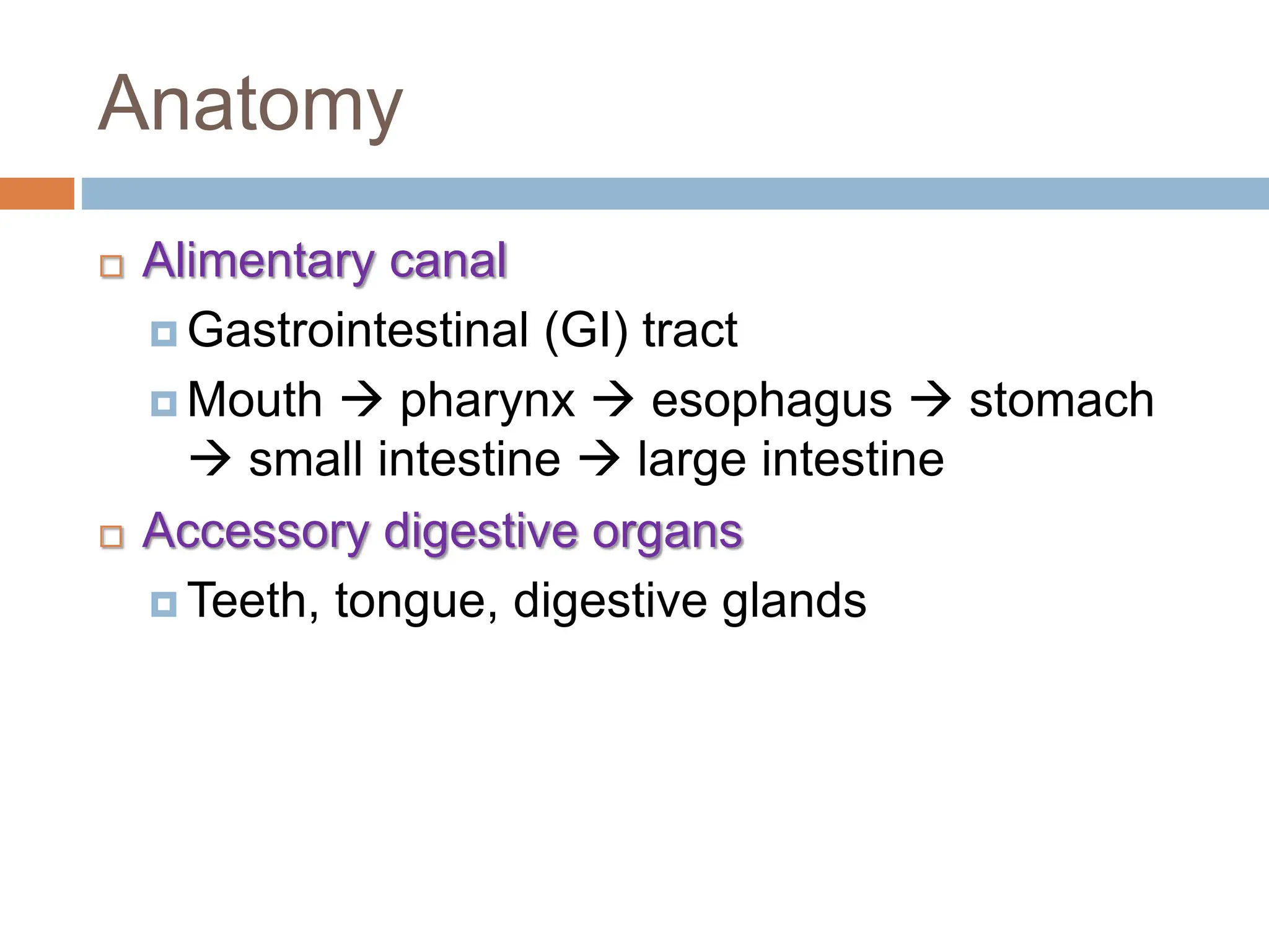 The Anatomy & Physiology of the Digestive System .pptx