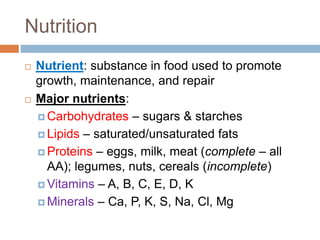The Anatomy & Physiology of the Digestive System .pptx