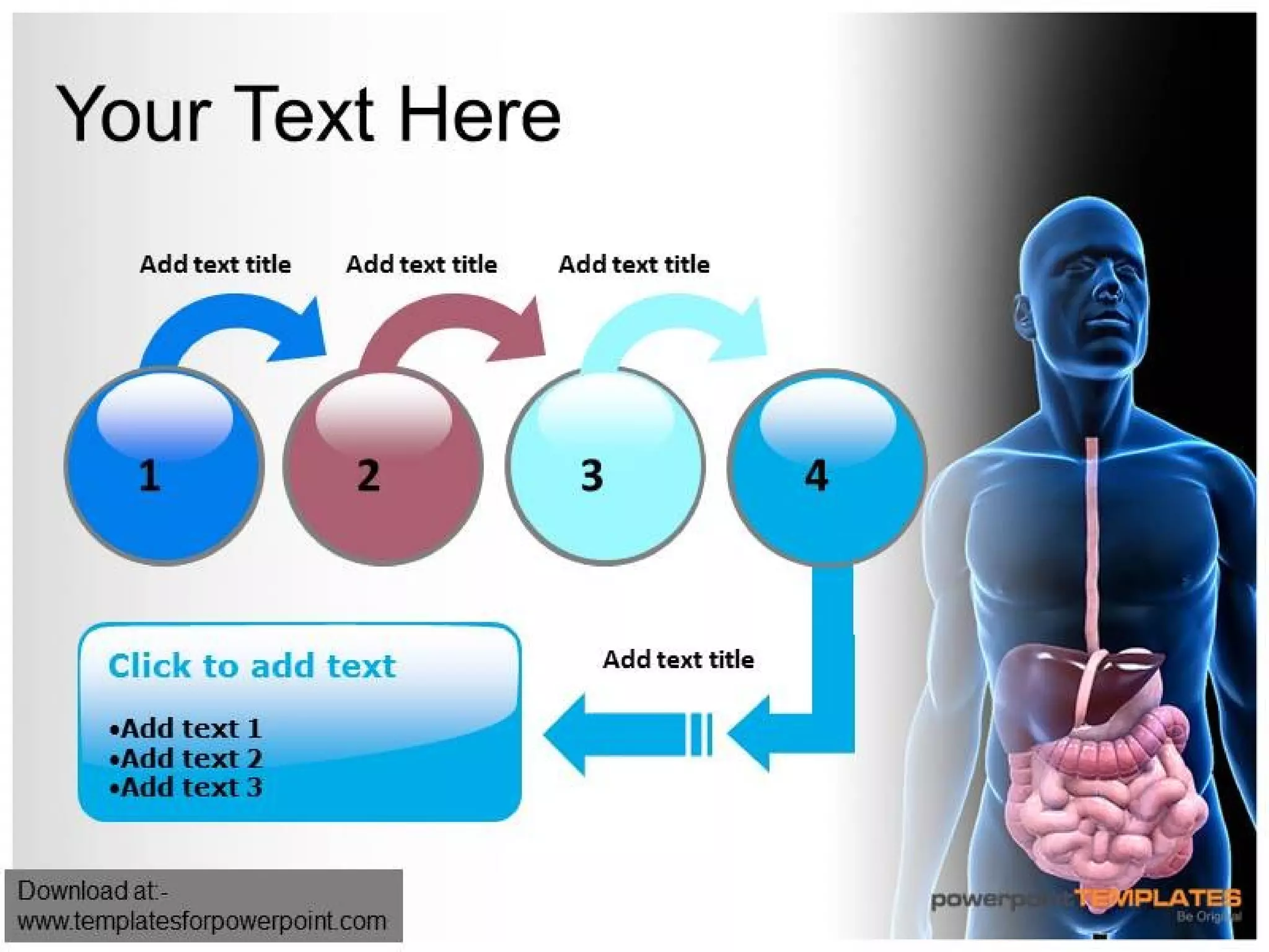 Digestive system | PPT