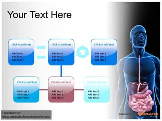 Digestive system | PPT