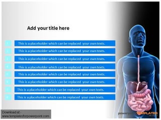 Digestive system | PPT