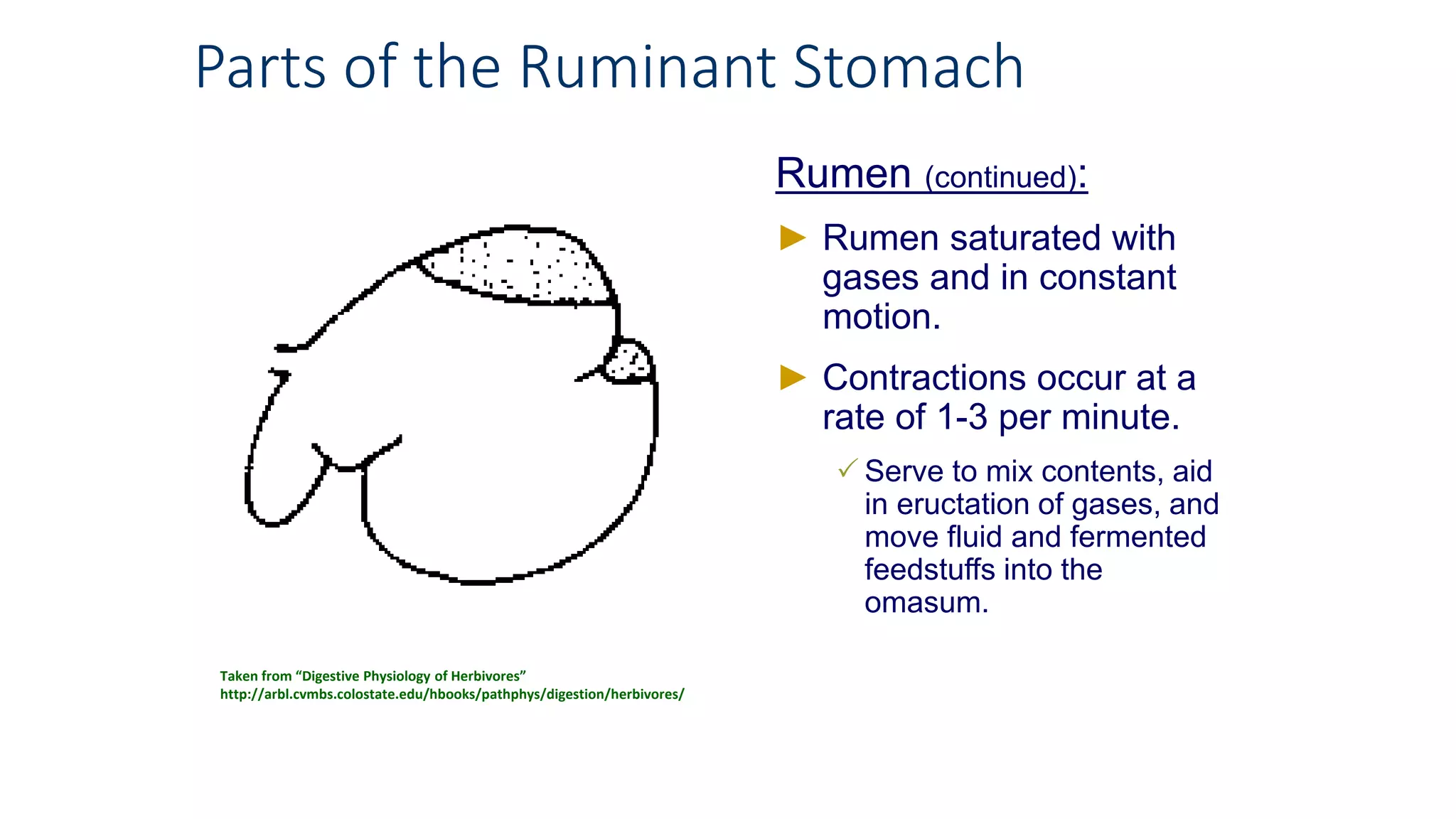 Digestive system 2nd | PPTX