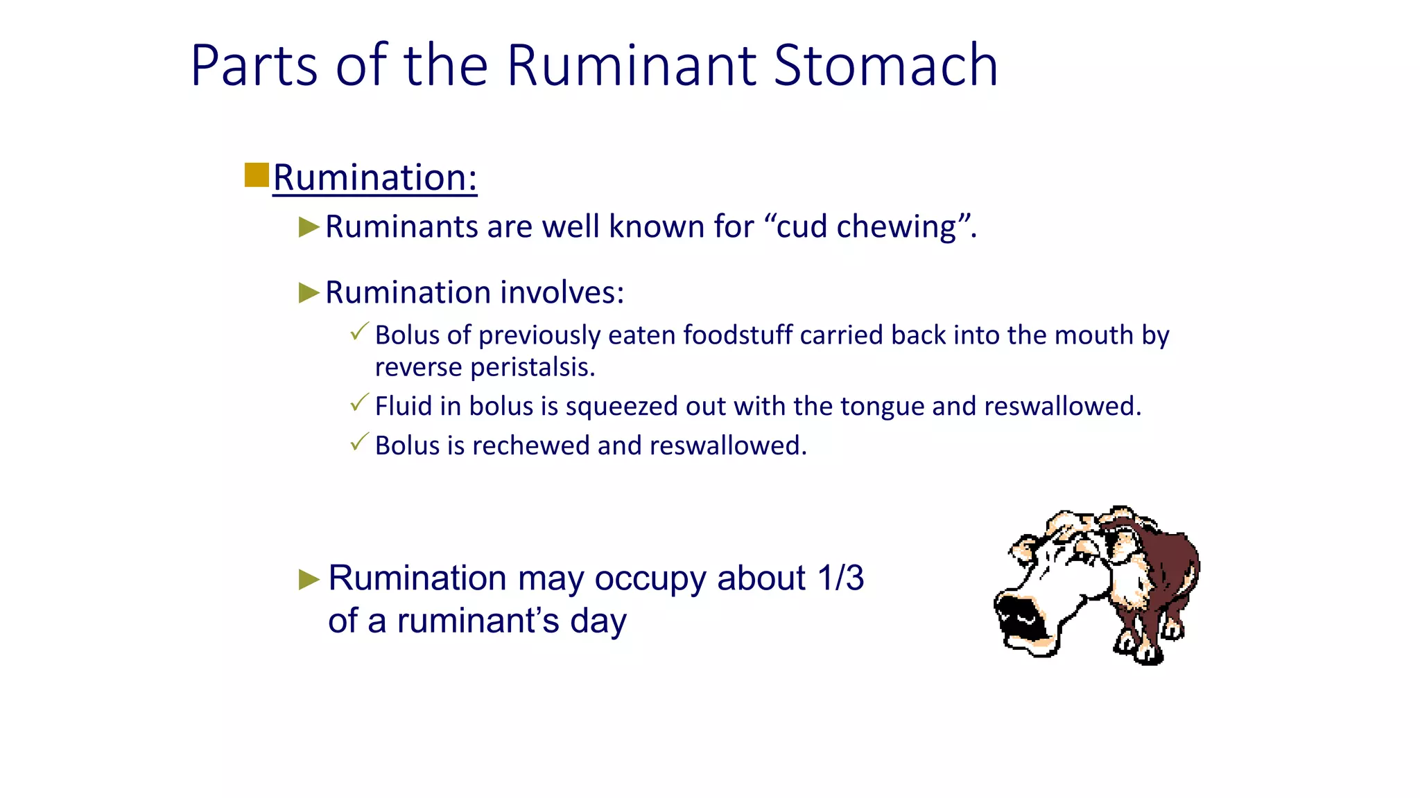 Digestive system 2nd | PPTX
