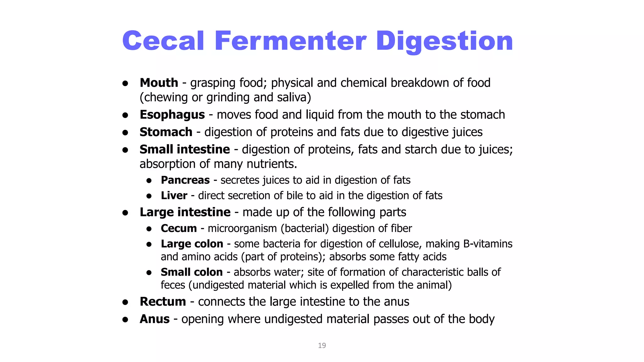 Digestive system 2nd | PPTX
