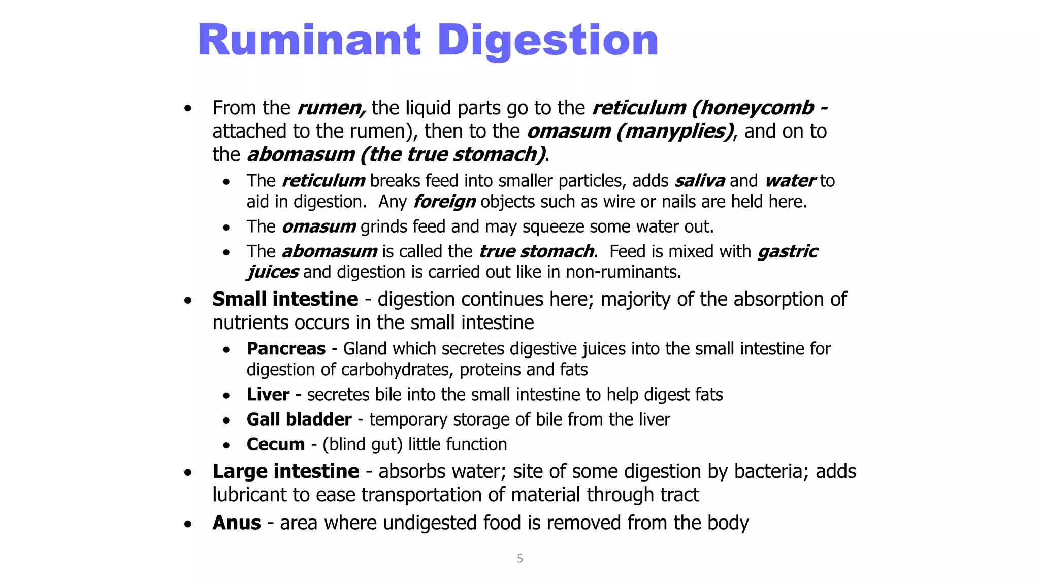 Digestive system 2nd | PPTX