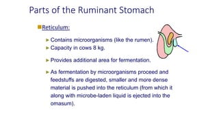 Digestive system 2nd | PPTX