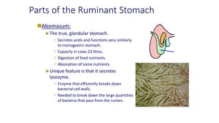 Digestive system 2nd | PPTX