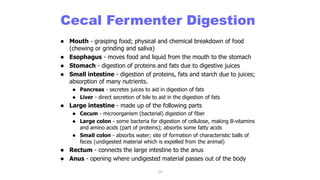 Digestive system 2nd | PPTX