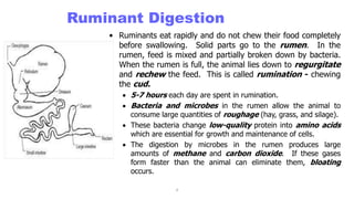 Digestive system 2nd | PPTX
