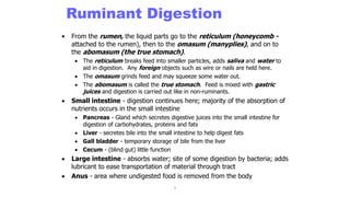 Digestive system 2nd | PPTX
