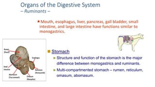 Digestive system 2nd | PPTX