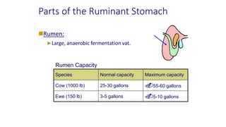 Digestive system 2nd | PPTX