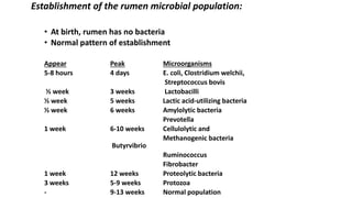 Digestive system 2nd | PPTX