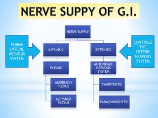 Digestive system introduction | PPT