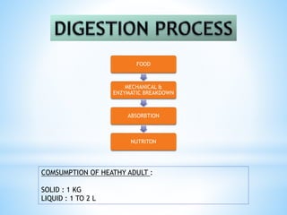 Digestive system introduction | PPT