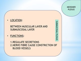 Digestive system introduction | PPT