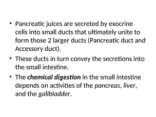 Digestive System lecturers note uni 5.ppt