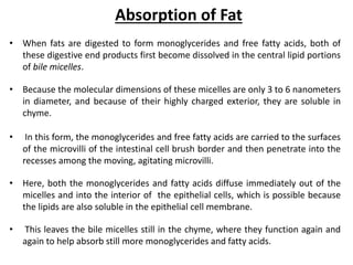 Digestive system (Absorption) / Food Absorption | PPTX