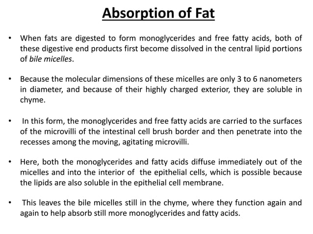 Digestive system (Absorption) / Food Absorption | PPTX