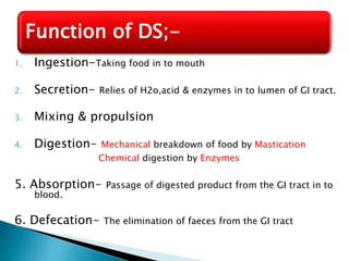 ppt on Digestive system akki | PPT