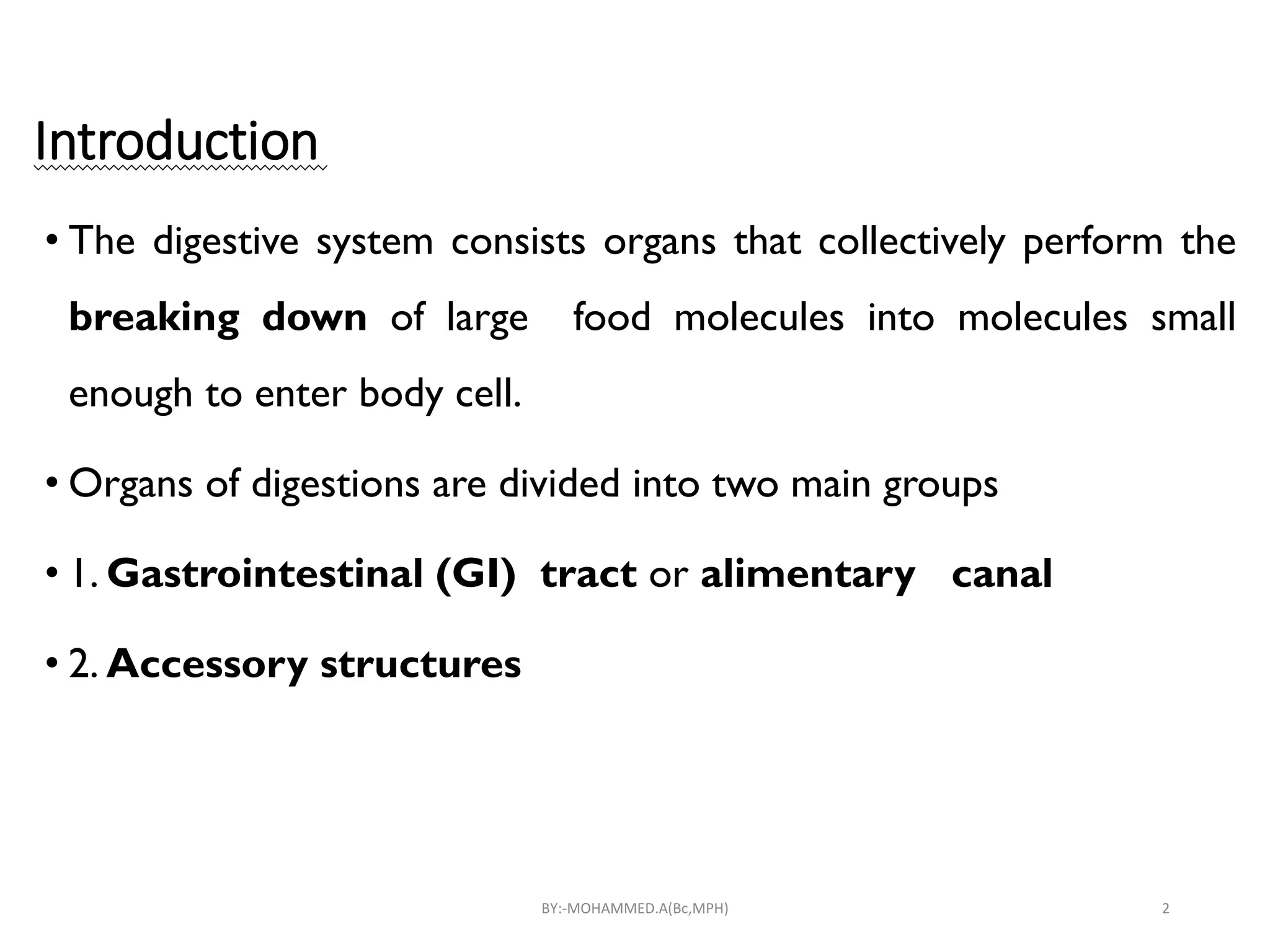digestive system Anatomy.pdf