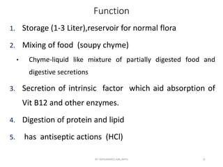 digestive system Anatomy.pdf