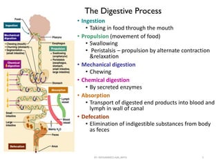 digestive system Anatomy.pdf