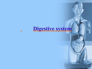 Anatomy and physiology of the digestive system | PPTX