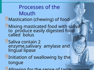 Anatomy and physiology of the digestive system | PPTX