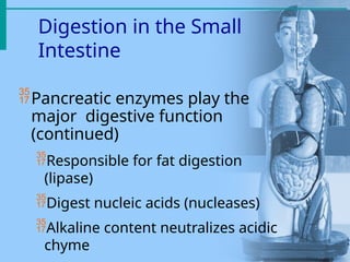 Anatomy and physiology of the digestive system | PPTX
