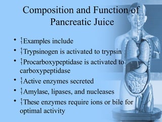 Anatomy and physiology of the digestive system | PPTX