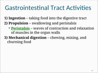 Digestive system anatomy (Department of clinical medicine and surgery ...