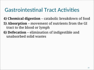 Digestive system anatomy (Department of clinical medicine and surgery ...
