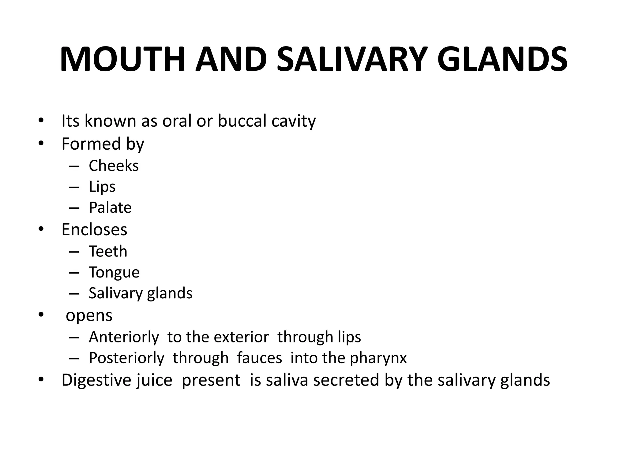Digestive system anatomy and physiology | PPTX