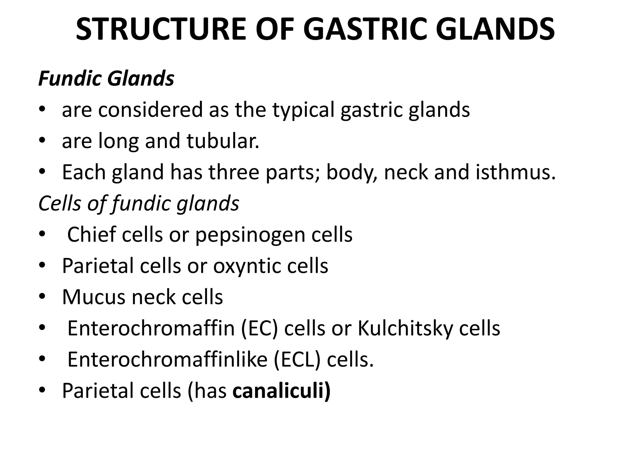 Digestive system anatomy and physiology | PPTX